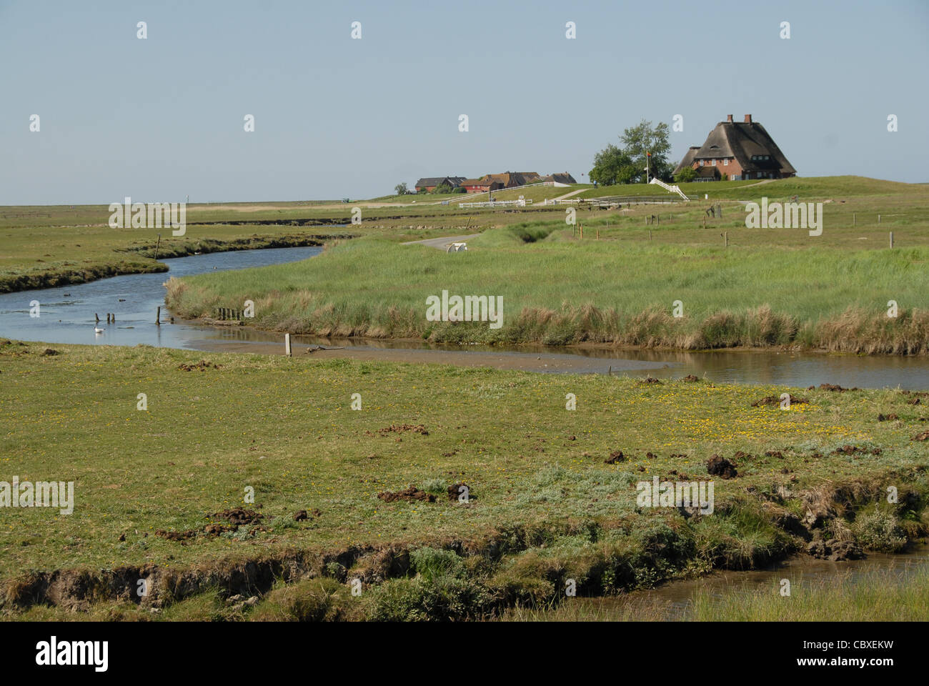 On the tiny island of Hallig Hooge in North Frisia's wadden sea, all ...