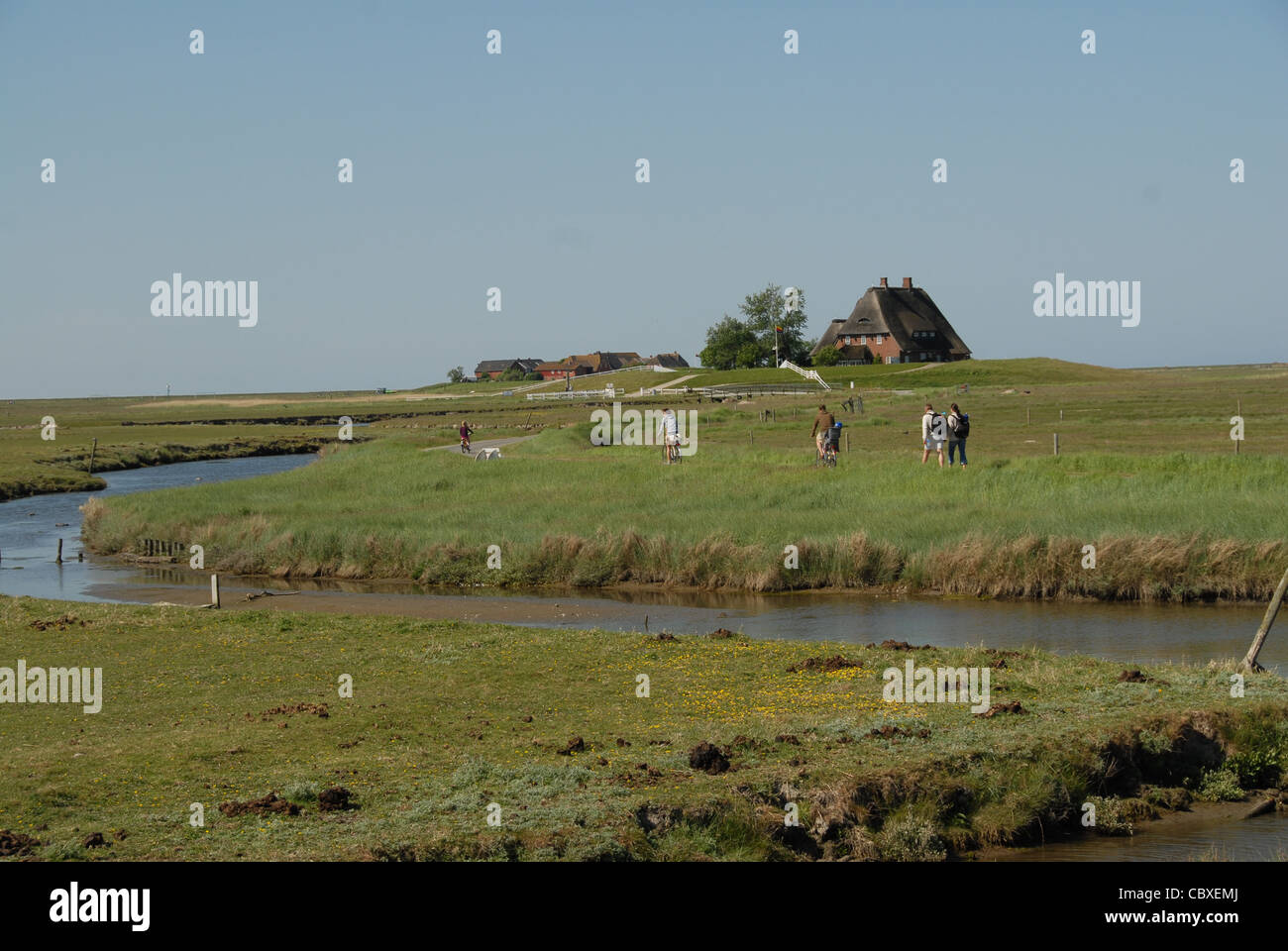 Coastal island flooding hi-res stock photography and images - Alamy