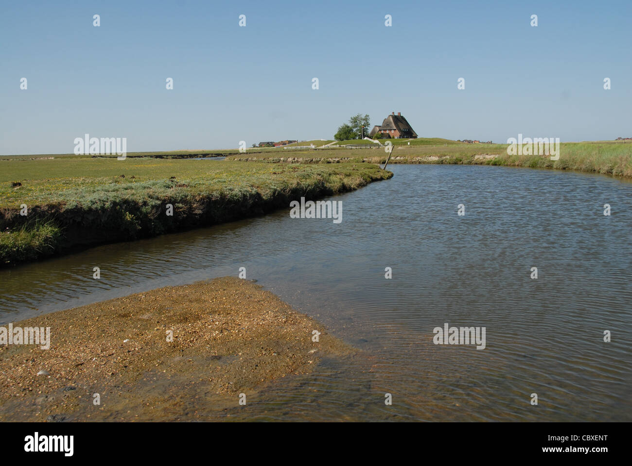 On Hallig Hooge, a tiny island in the wadden sea of North Frisia, all ...