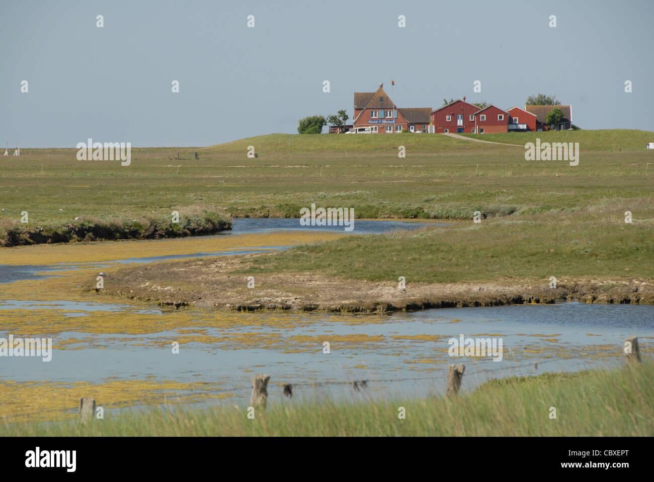 At Hallig Hooge, a tiny island in the wadden sea of North Frisia, all ...