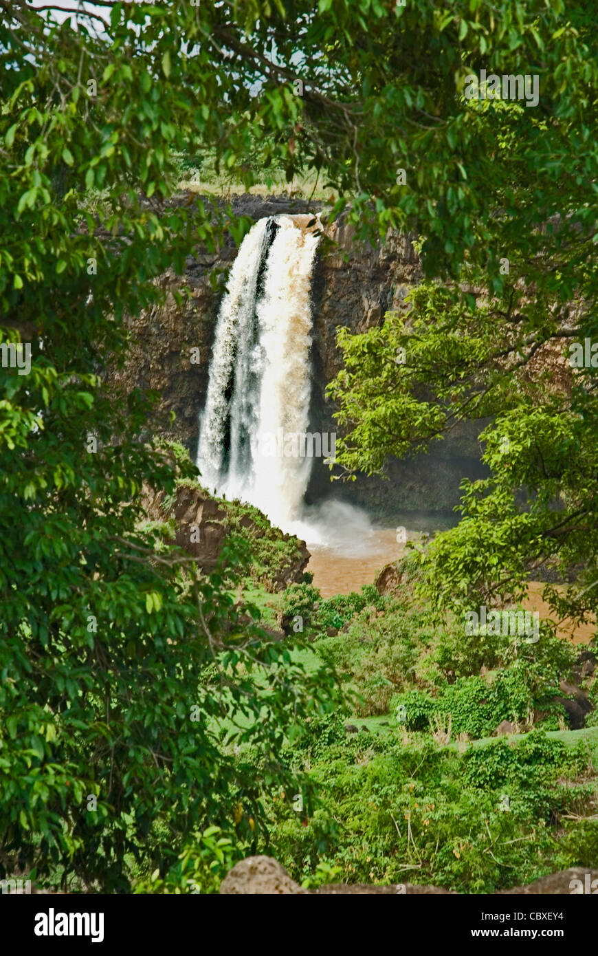 View of waterfall through green foliage, Blue Nile River, Bahir Dar ...