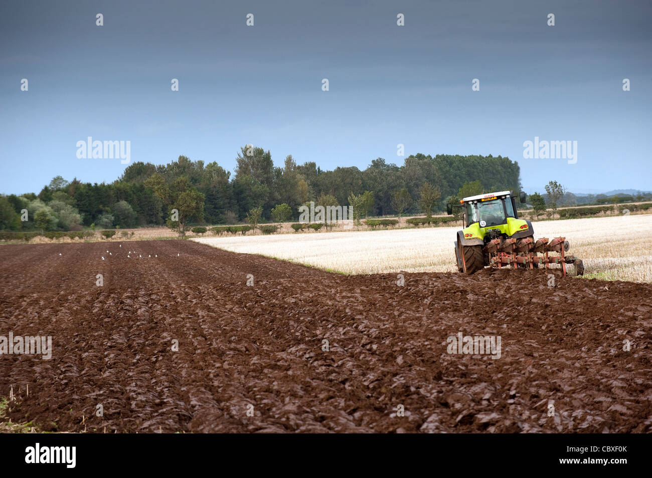 Plough tractor hi-res stock photography and images - Alamy