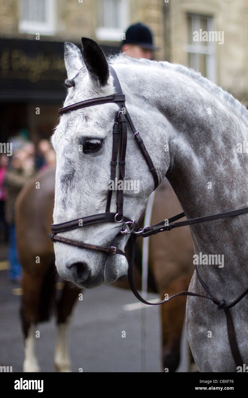 Master of the heythrop hunt hi-res stock photography and images - Alamy