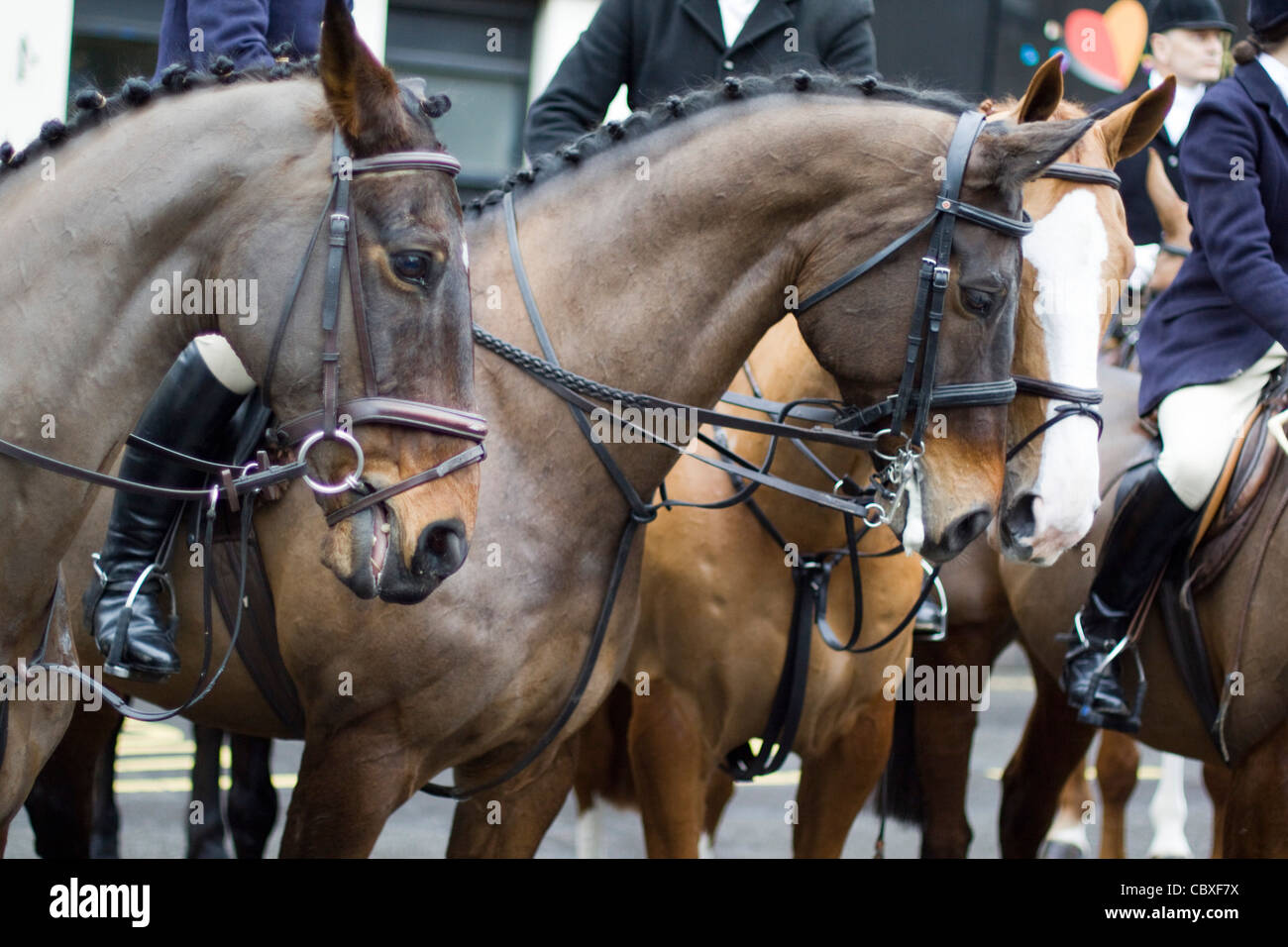 The Heythrop Hunt at the boxing day meet in Chipping Norton Stock Photo ...