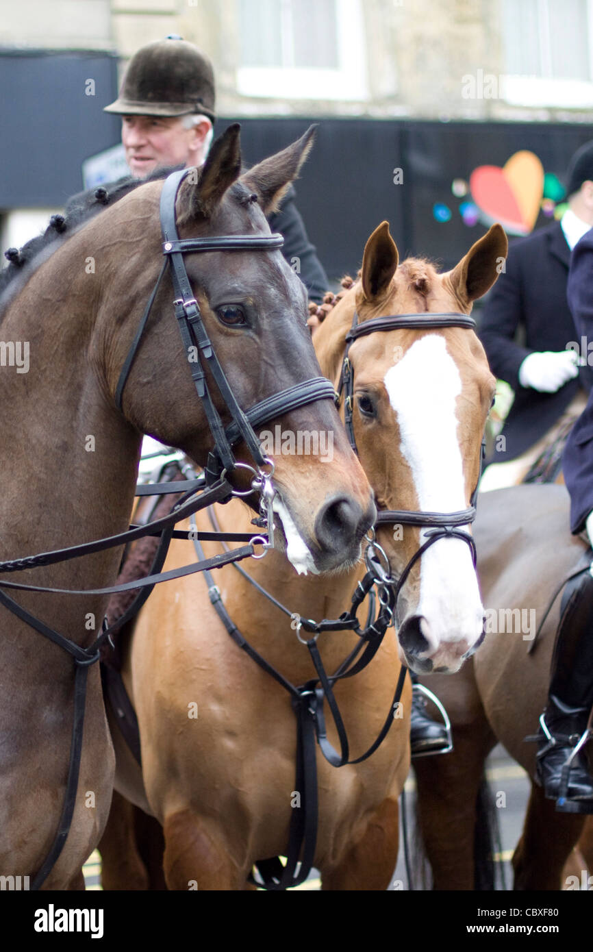 Master of the heythrop hunt hi-res stock photography and images - Alamy