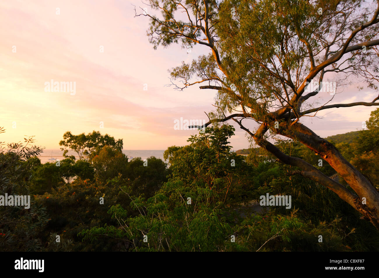 Captain cook botany bay hi-res stock photography and images - Alamy
