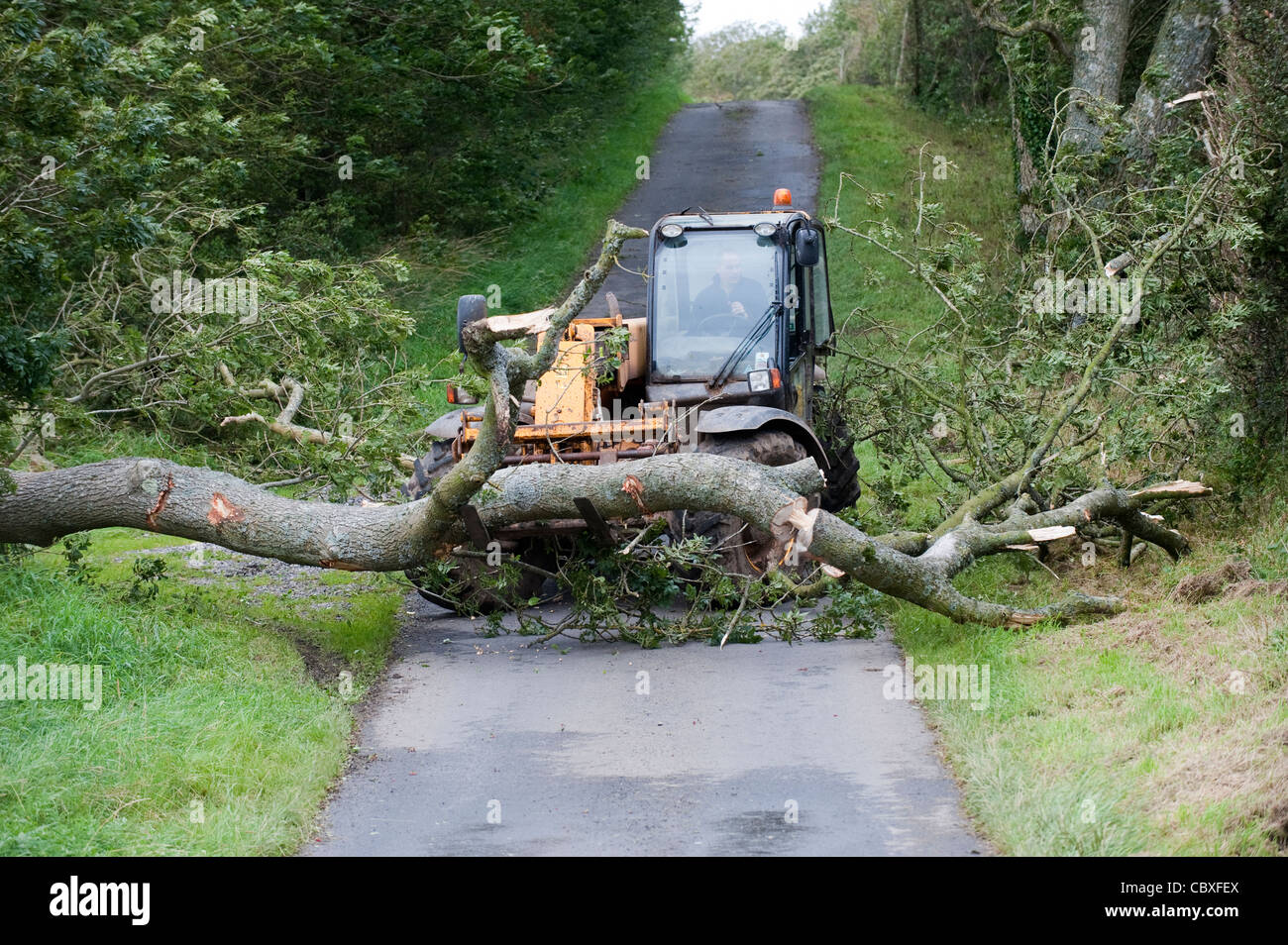 Tree Fallen Across Road High Resolution Stock Photography and Images ...