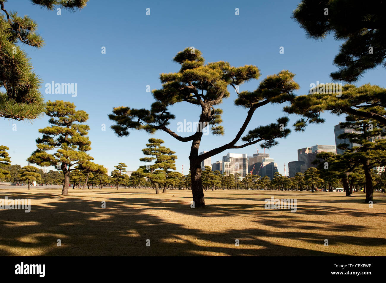 The Imperial Palace gardens in the large plaza of the Imperial Place ...