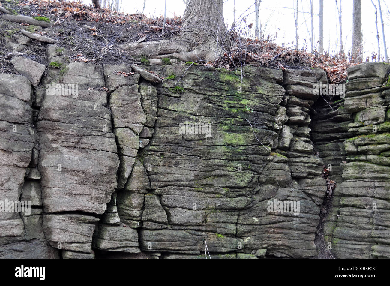 Niagara escarpment rock hi-res stock photography and images - Alamy