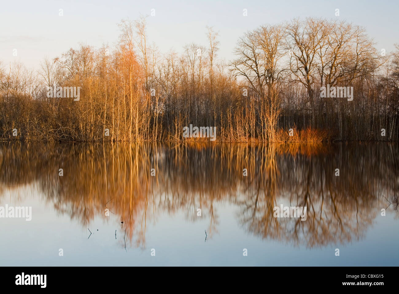 Spring flood with reflections Stock Photo - Alamy