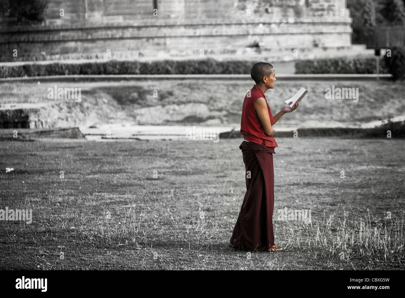 Monk reading a book Stock Photo - Alamy