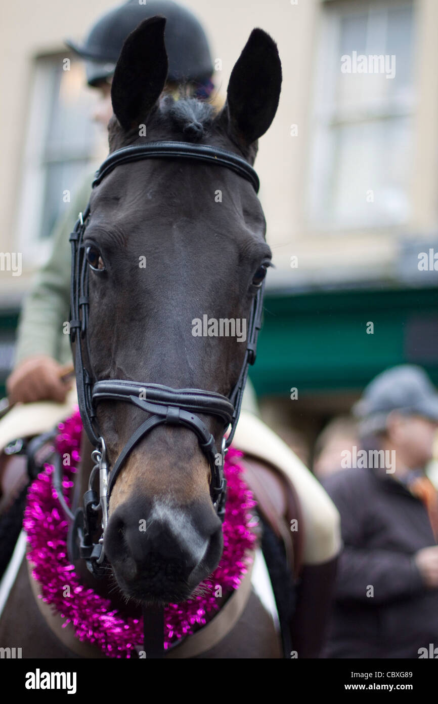 The Heythrop Hunt at the boxing day meet in Chipping Norton Stock Photo ...