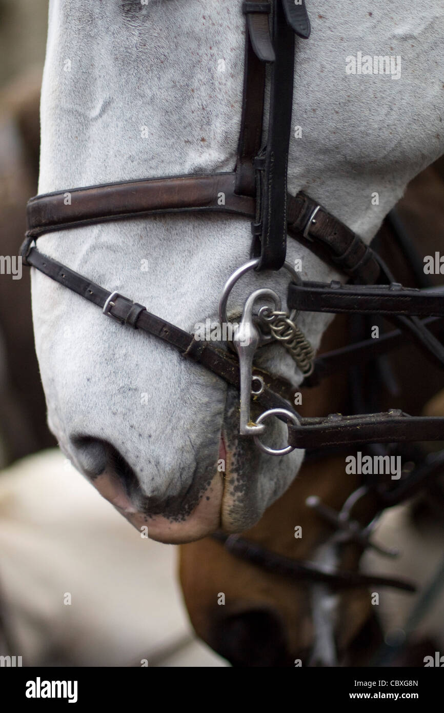 The Heythrop Hunt at the boxing day meet in Chipping Norton Stock Photo ...