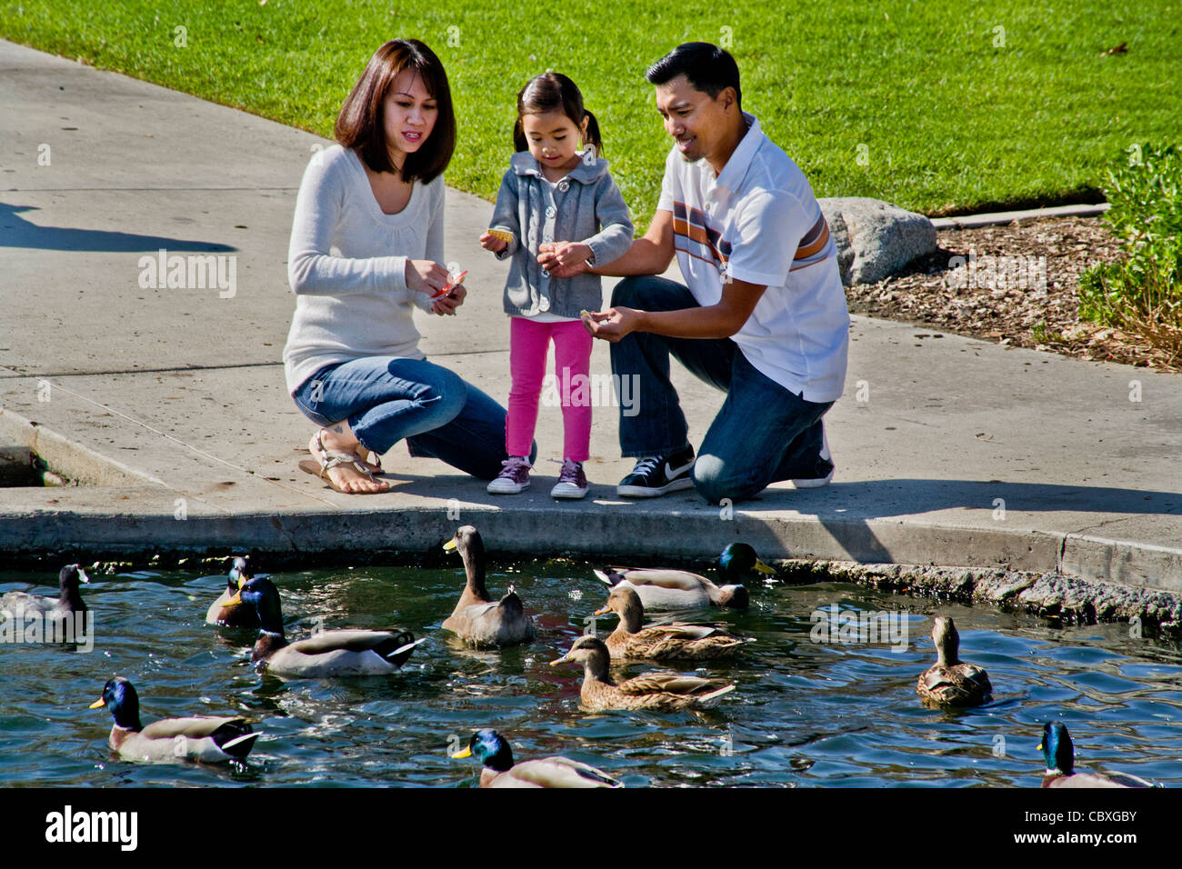 Asian american family mom dad father hi-res stock photography and images - Alamy