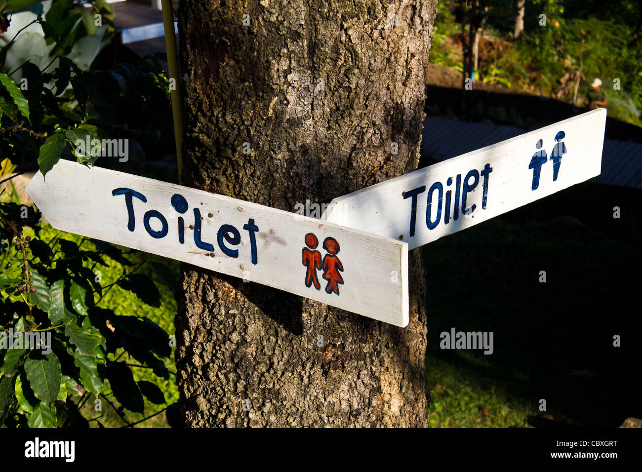 toilet sing in pai district maehongson thailand Stock Photo - Alamy