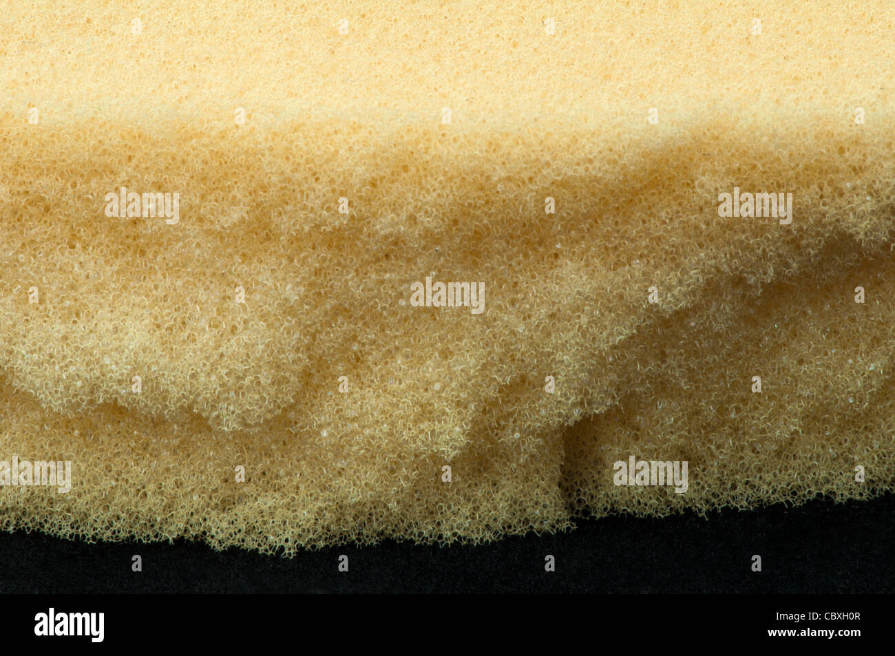 Yellow foam sponge closeup Stock Photo - Alamy