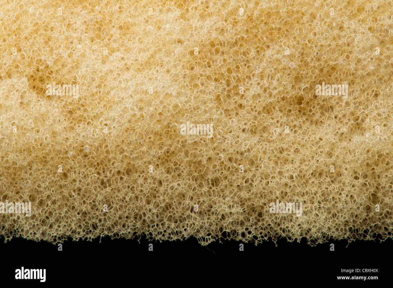 Yellow foam sponge closeup Stock Photo - Alamy
