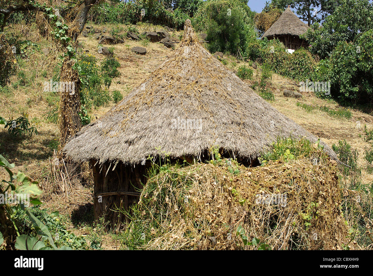 African village, Ethiopia Stock Photo - Alamy