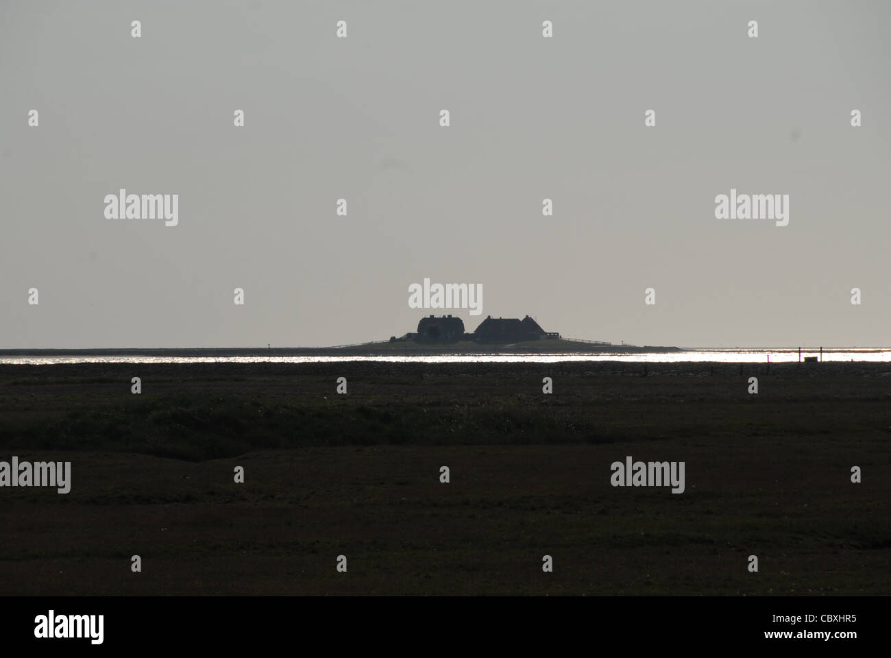A warft, an earthen mound with a house, seen against the light at ...