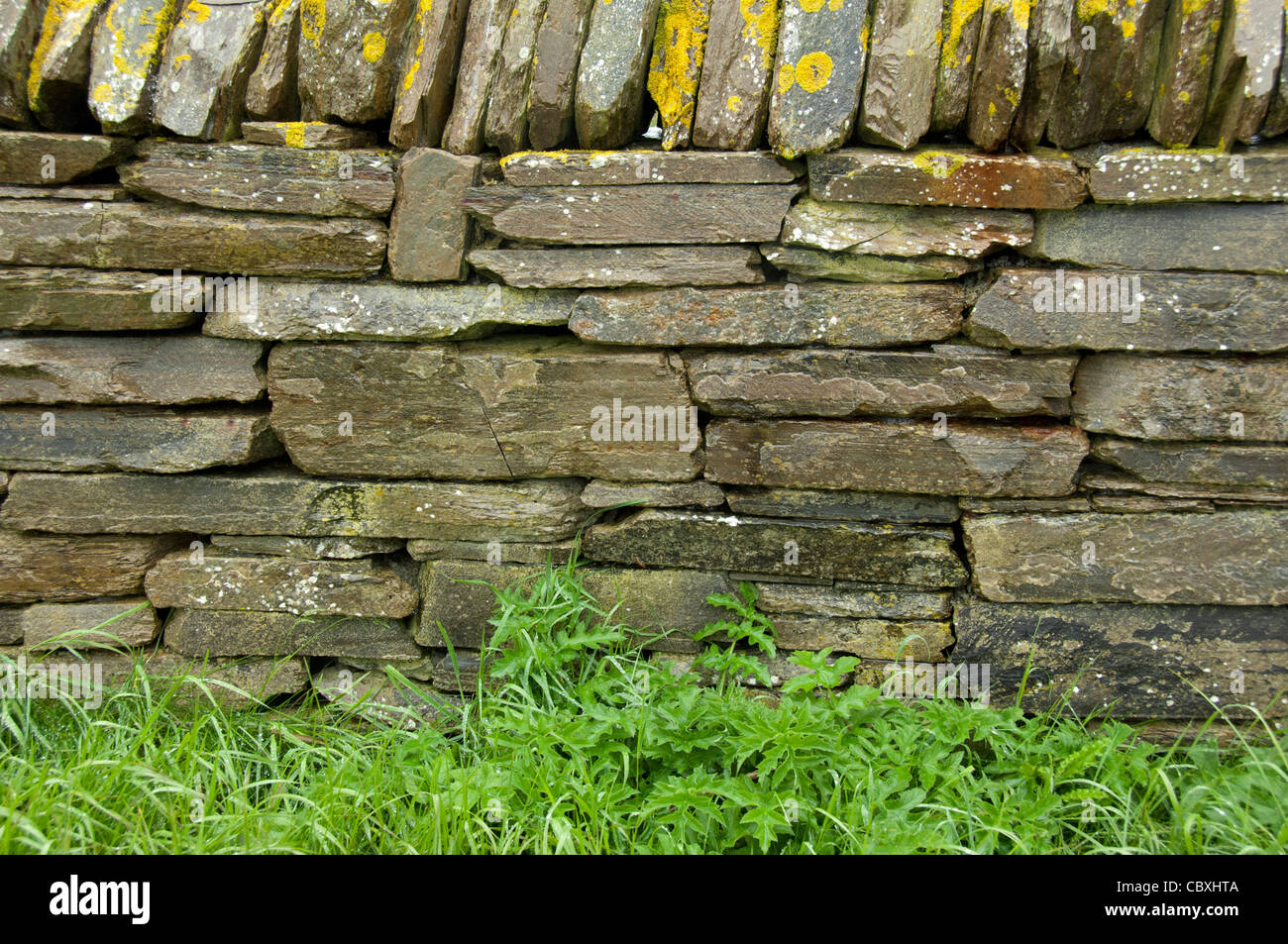 Scotland, Orkney Islands, Mainland, Stromness. Typical Orkney stone ...