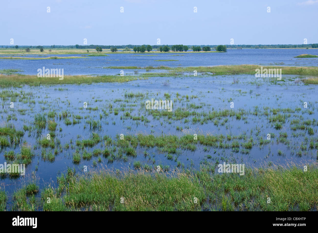 Necedah Wildlife Refuge wetlands in Juneau County of Wisconsin Stock ...