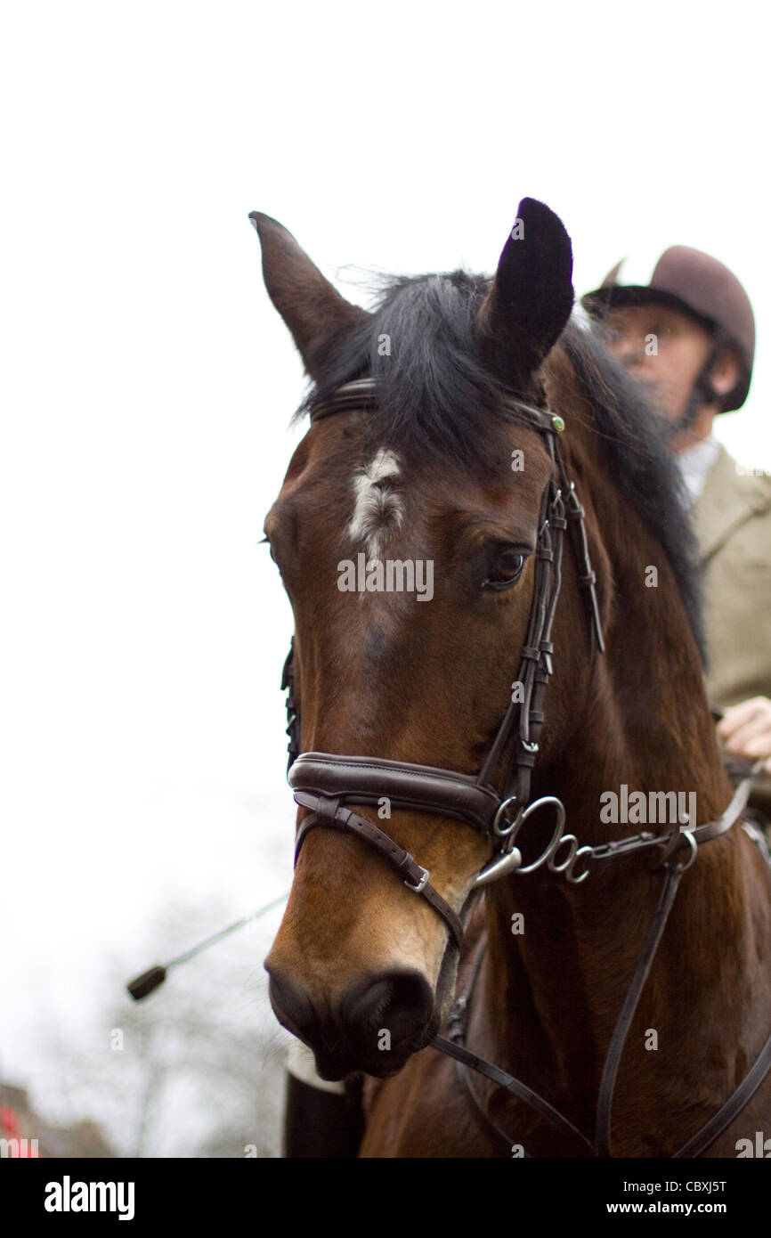 The Heythrop Hunt at the boxing day meet in Chipping Norton Stock Photo ...