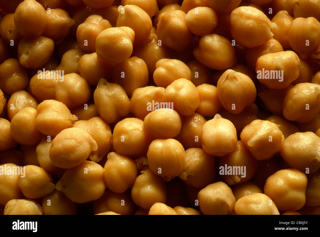 Yellow Legumes known as Garbanzo Beans or Chick Peas Stock Photo - Alamy