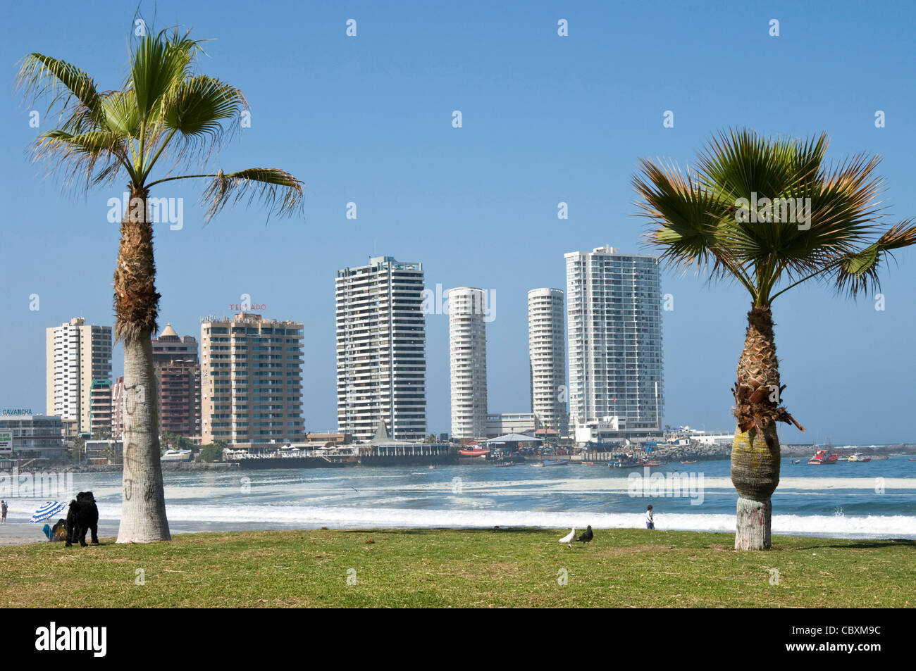 Chile. Iquique city. Cavancha beach Stock Photo - Alamy
