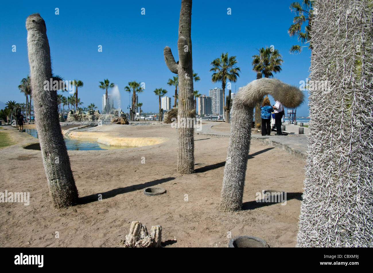 Chile. Iquique city. Cavancha beach Stock Photo - Alamy