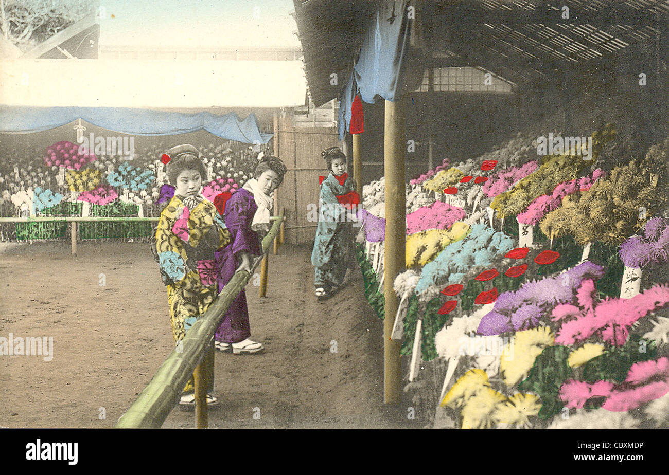 Postcard of chrysanthemum flower show in Japan Stock Photo - Alamy
