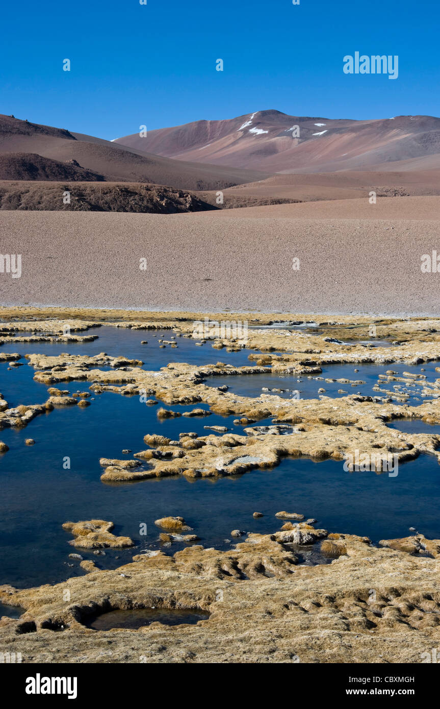 Vertical nature atacama hi-res stock photography and images - Alamy