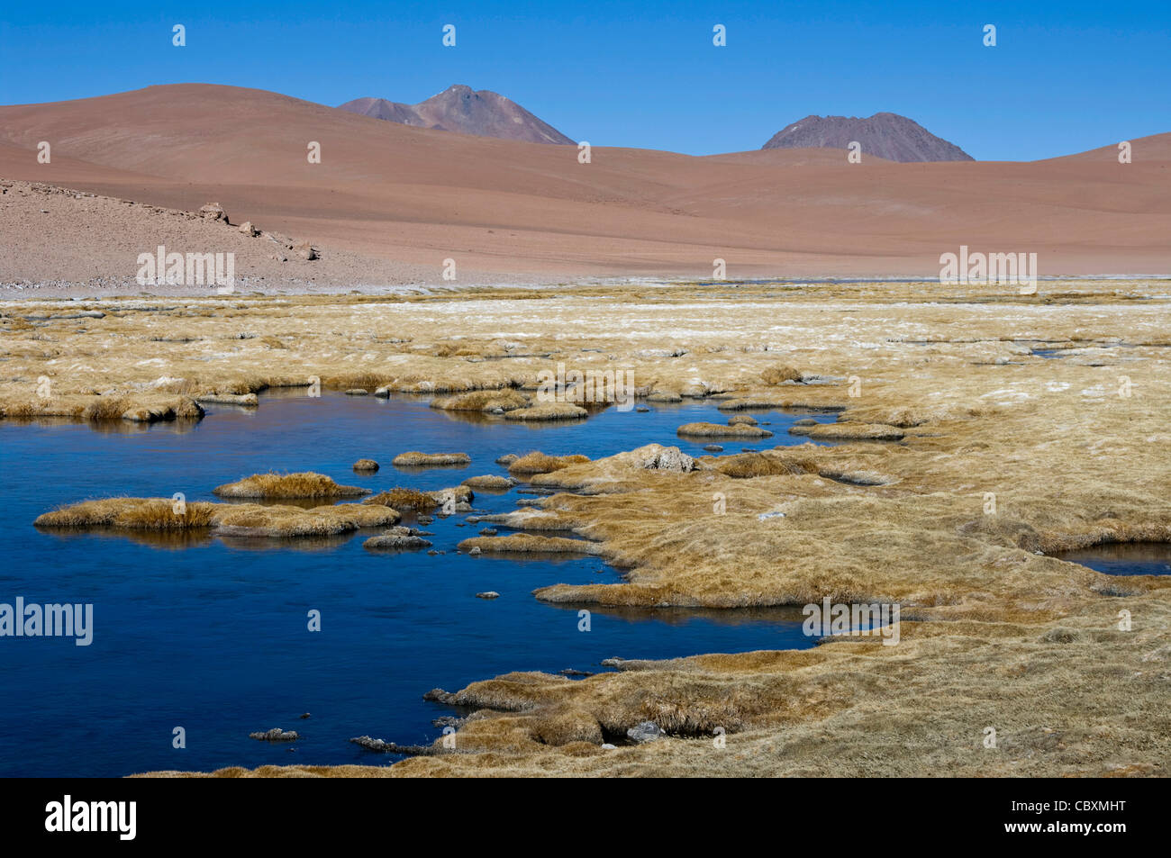 Desert river hi-res stock photography and images - Alamy