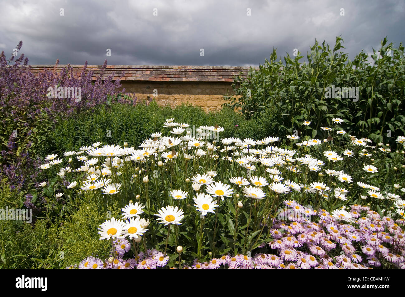 Wild Border High Resolution Stock Photography and Images - Alamy