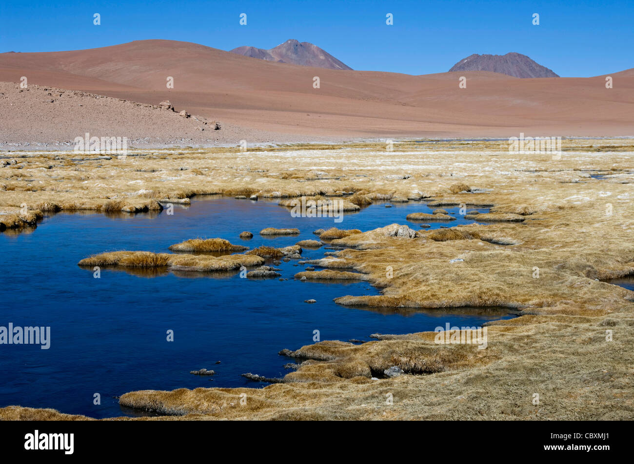 Chile. Atacama desert. Quepiaco river Stock Photo - Alamy