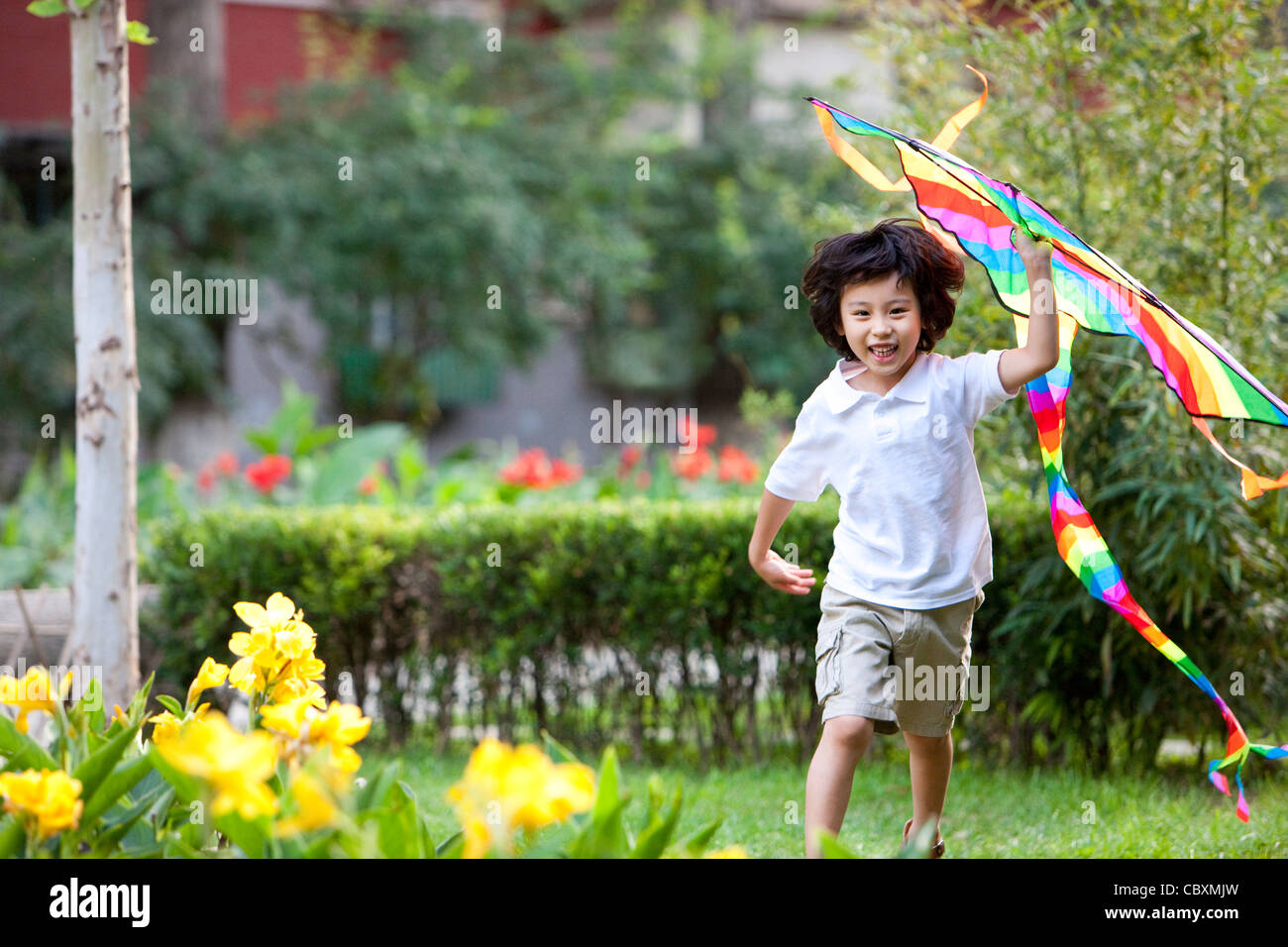 Little boy flying kite in garden Stock Photo - Alamy