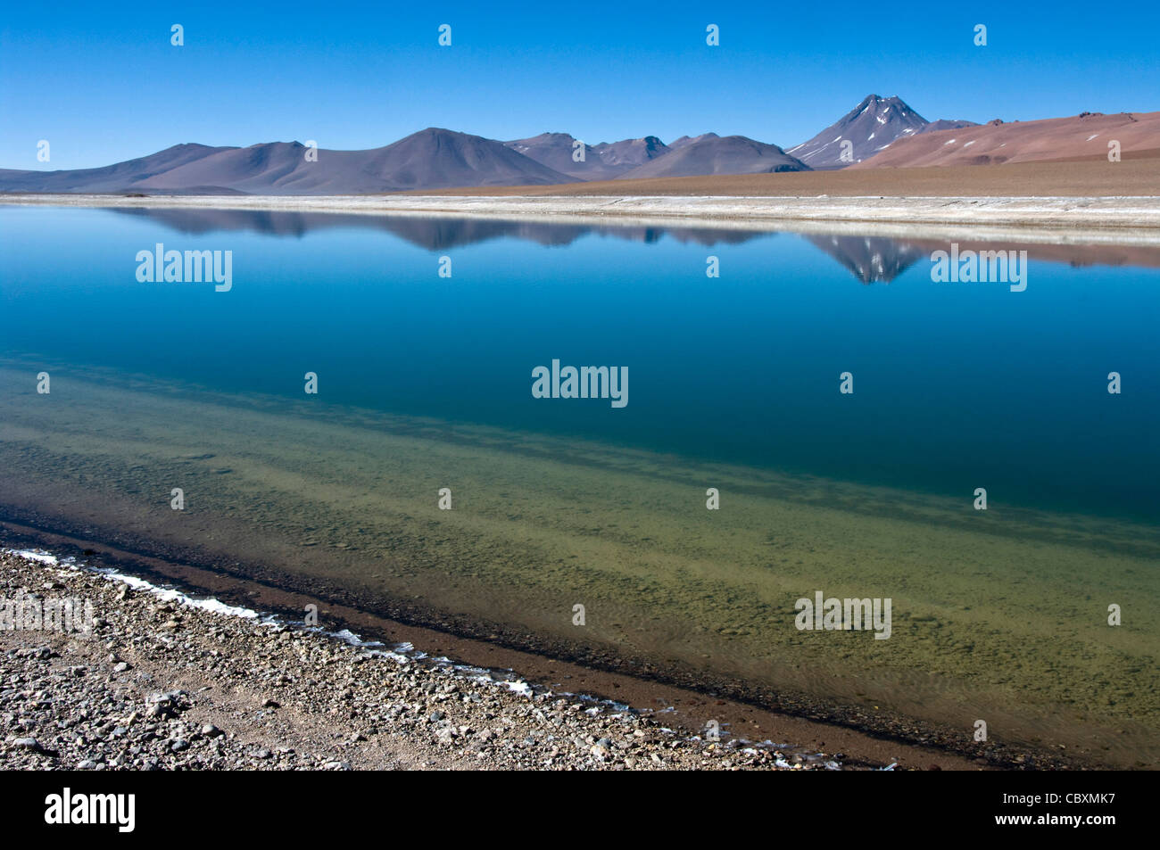 Chile. Atacama desert. Quepiaco lake Stock Photo - Alamy