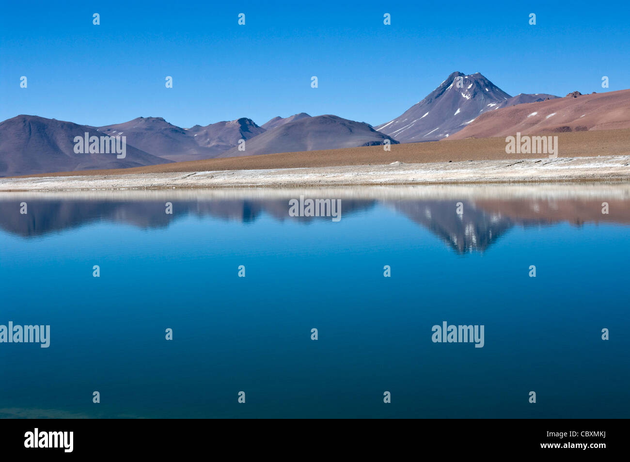 Chile. Atacama desert. Quepiaco lake and the Pili volcano Stock Photo ...
