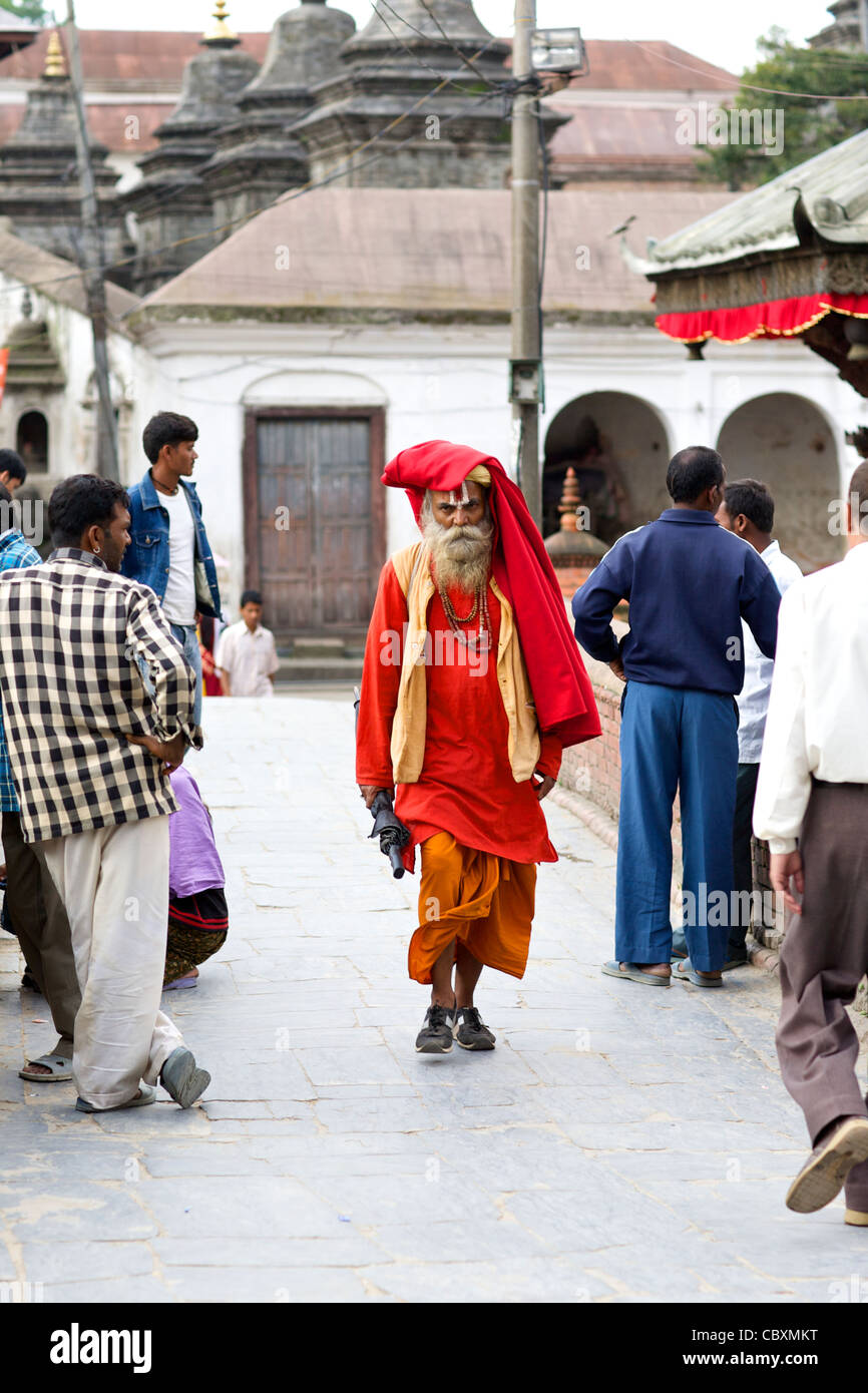Sadhu hindu holy man walking hi-res stock photography and images - Alamy