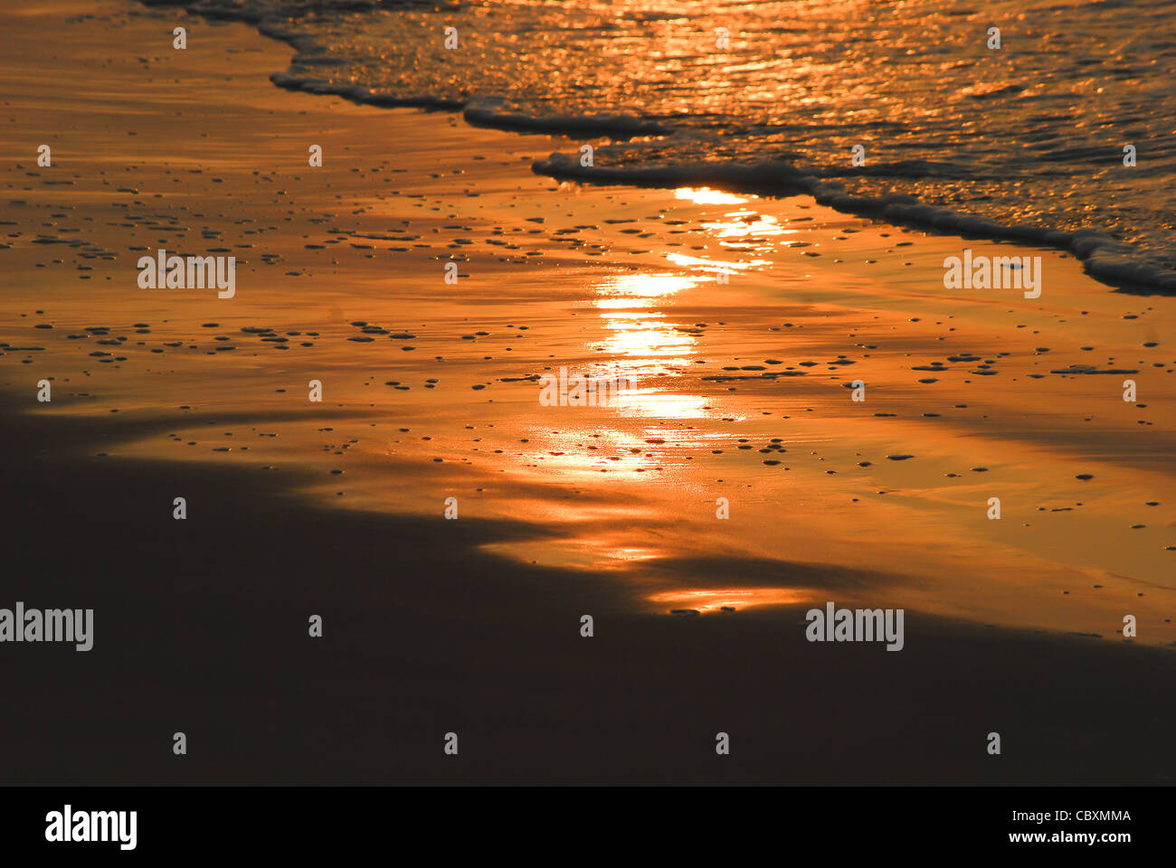 golden beach , sun light reflection on the sea beach Stock Photo - Alamy