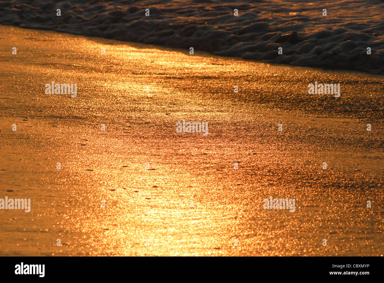 Golden beach landscape light hi-res stock photography and images - Alamy