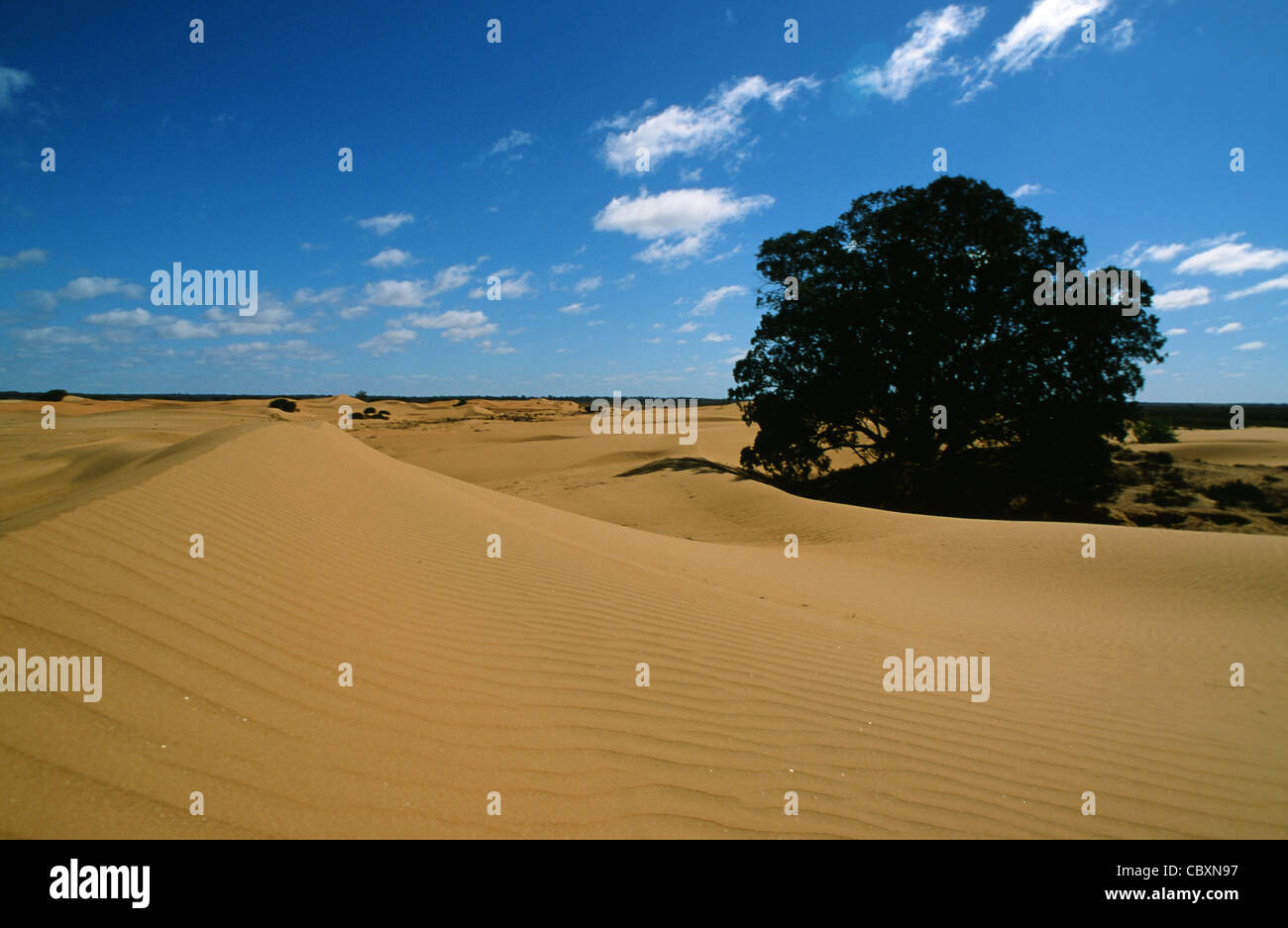 Perry sandhills near Wentworth in the Outback of New South Wales ...