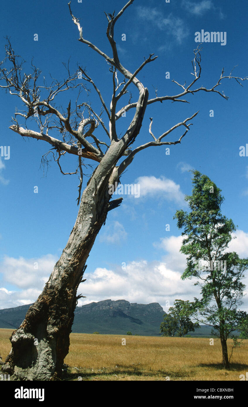 Dead mountains wilderness area hi-res stock photography and images - Alamy