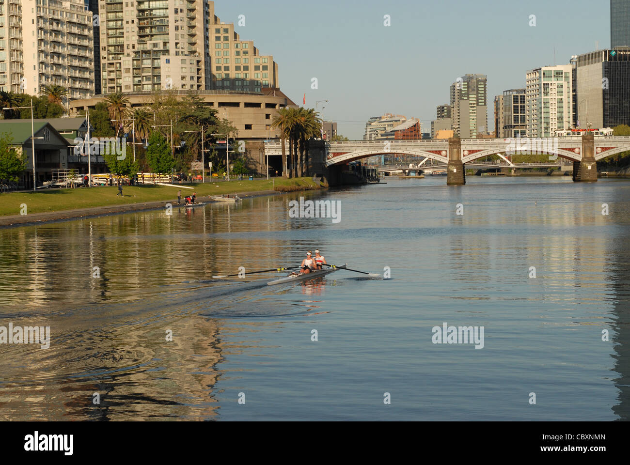 Early morning rowing on the Yarra river in central Melbourne, with ...