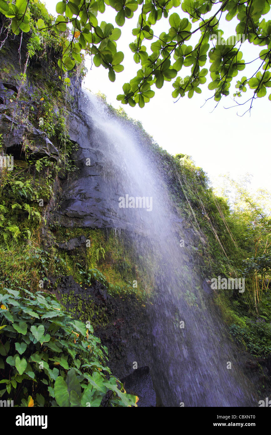 Waterfall in Reunion island Stock Photo - Alamy