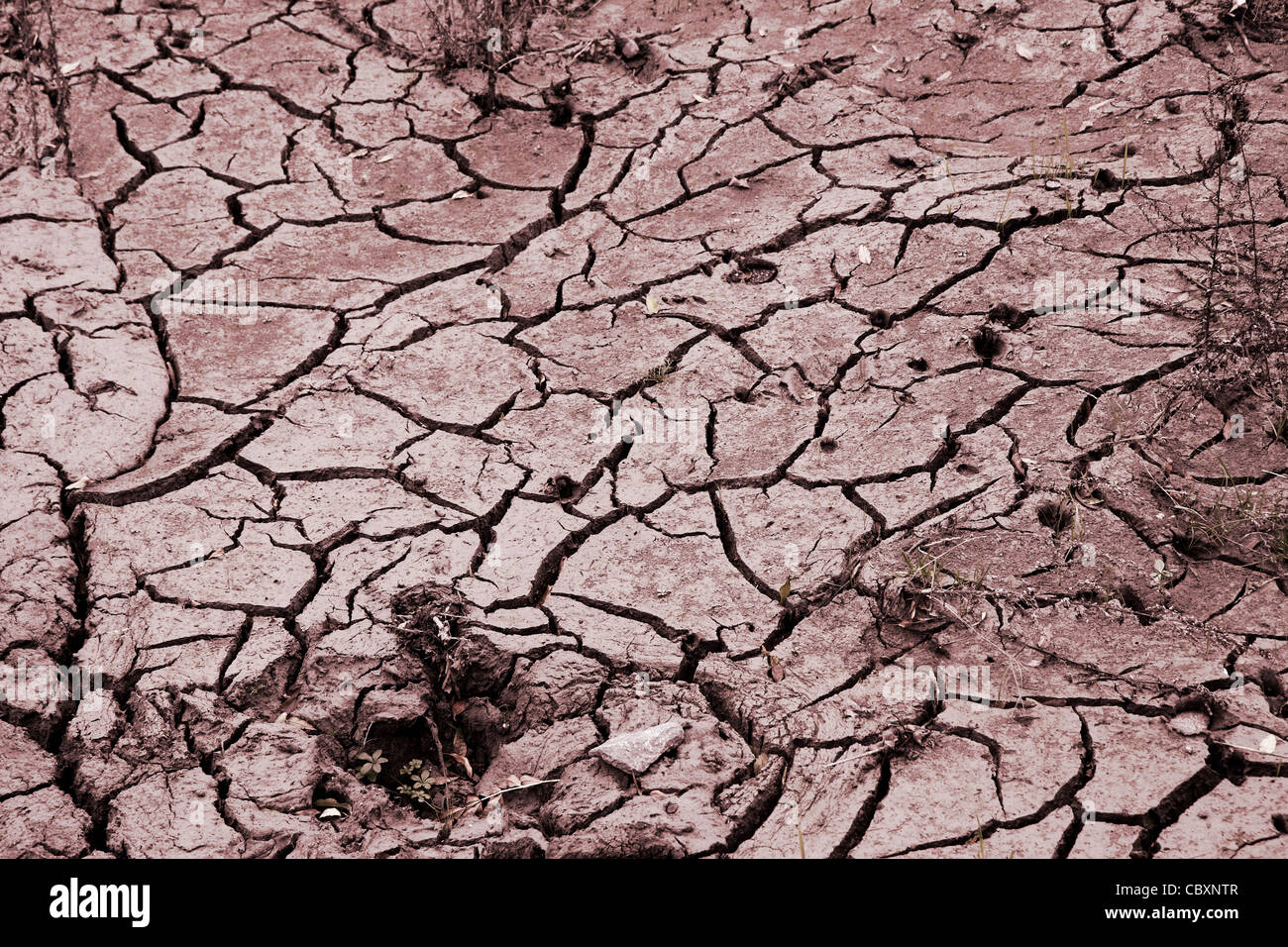 Cracked earth after drought Stock Photo - Alamy
