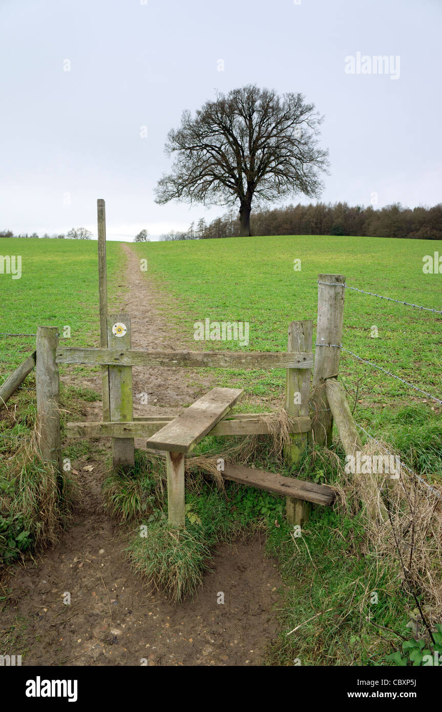 A wooden countryside stile part of a Chilterns Winter landscape view in ...