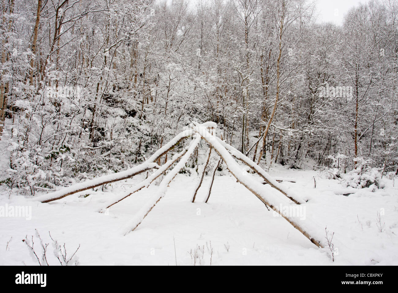 A timber structure covered in snow in the woods Stock Photo - Alamy