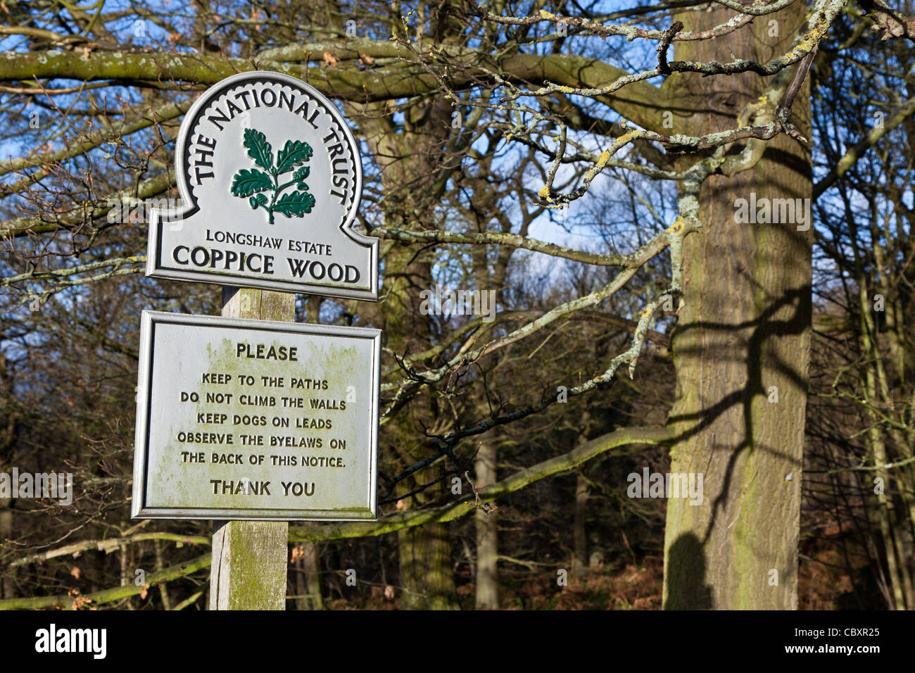 Coppice hi-res stock photography and images - Alamy