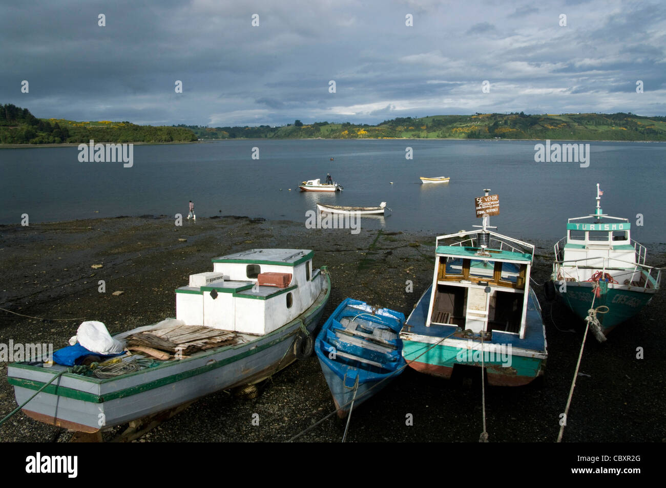 Chile. Chiloe island. Castro fjord Stock Photo - Alamy