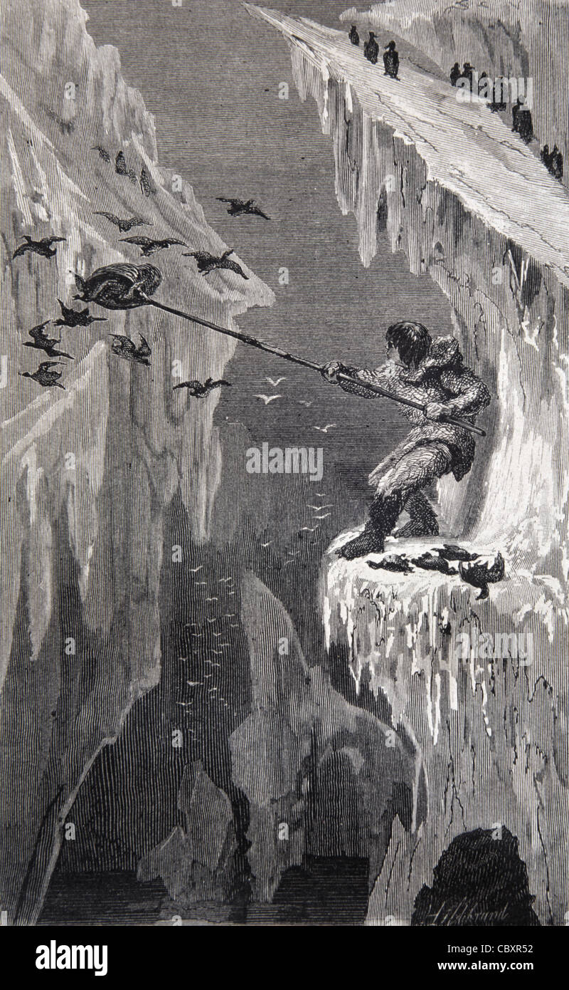 Eskimo Hunter or Inuit Hunting and Catching Auks and Penguins for Food ...